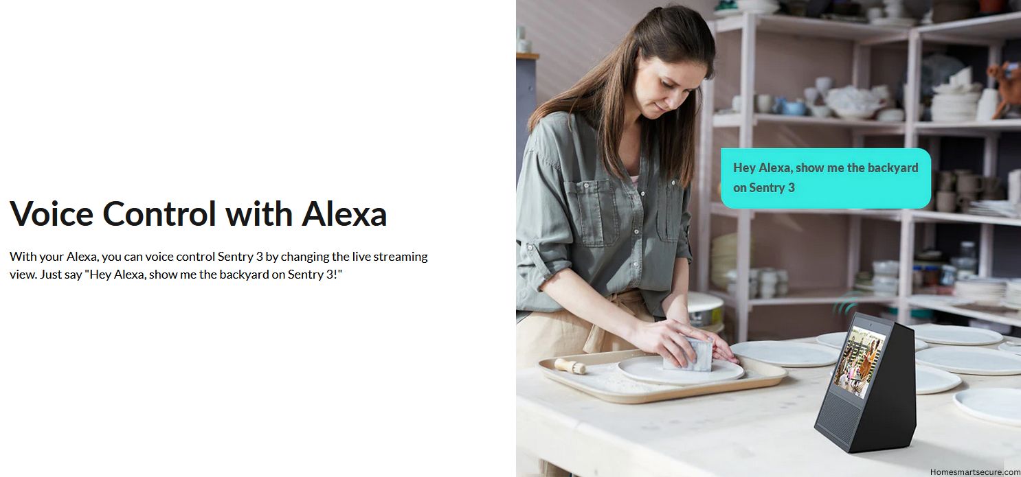 Netvue Sentry 3 Camera - Home Smart Secure